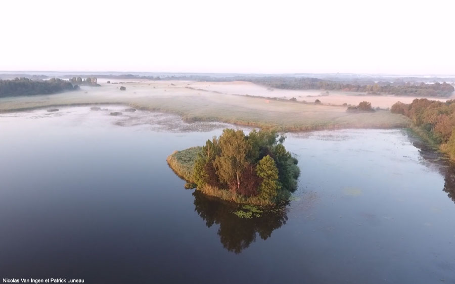 Nicolas Van Ingen et Patrick Luneau nous parlent du documentaire ...