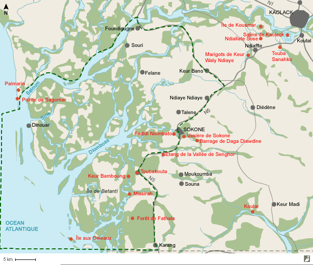 Observer les oiseaux dans le delta du Sine-Saloum (Sénégal), l’une des ...