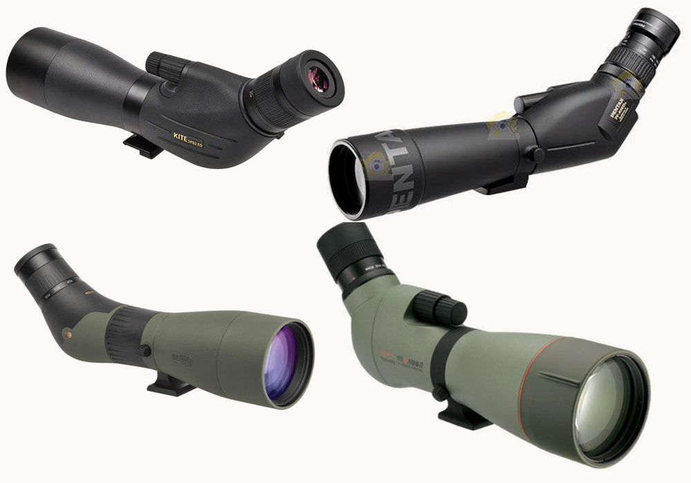 Pourquoi le champ de vision est-il important dans le choix d'une longue ...