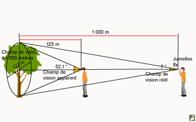 Pourquoi le champ de vision est-il important dans le choix d'une longue ...