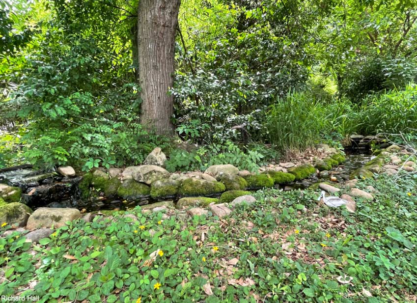 Créer un ruisseau artificiel dans son jardin pour les oiseaux : des ...