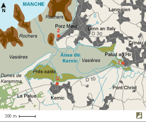 Observer les oiseaux des dunes, vasières et prés salés de l'anse de ...