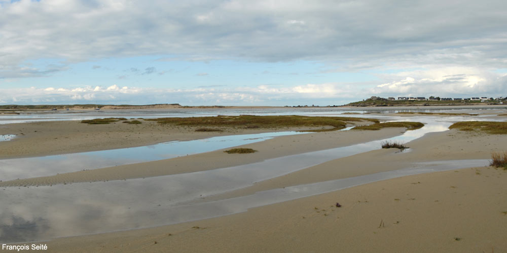 Observer les oiseaux des dunes, vasières et prés salés de l'anse de ...