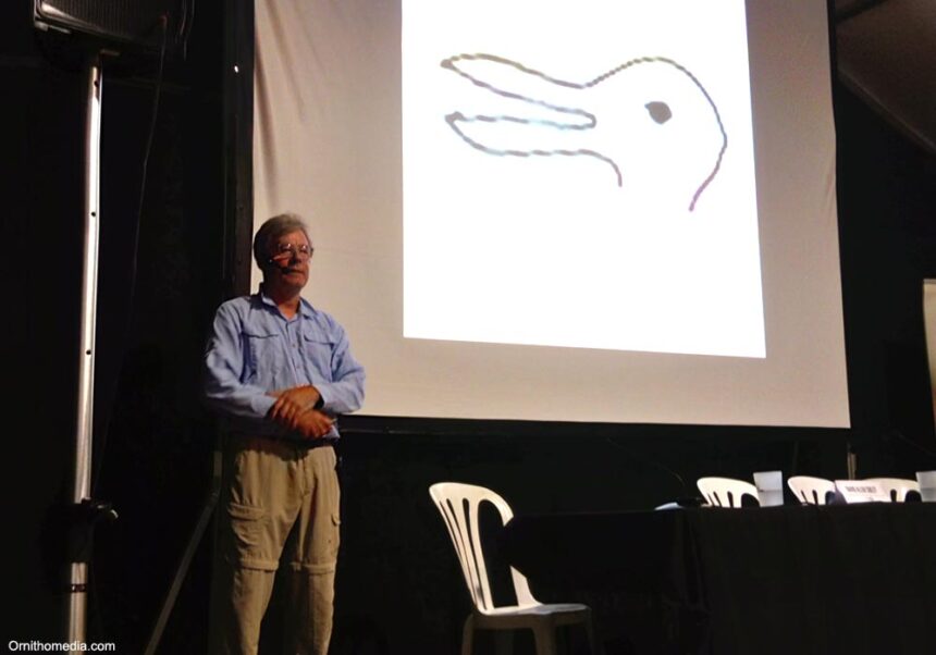 David Allen Sibley nous en dit plus sur le dessin et sur la peinture ...