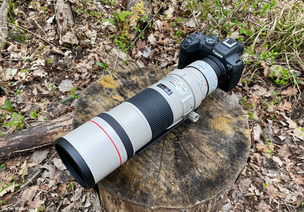 Test du Canon EOS R7 et sélection d'autres hybrides récents performants ...