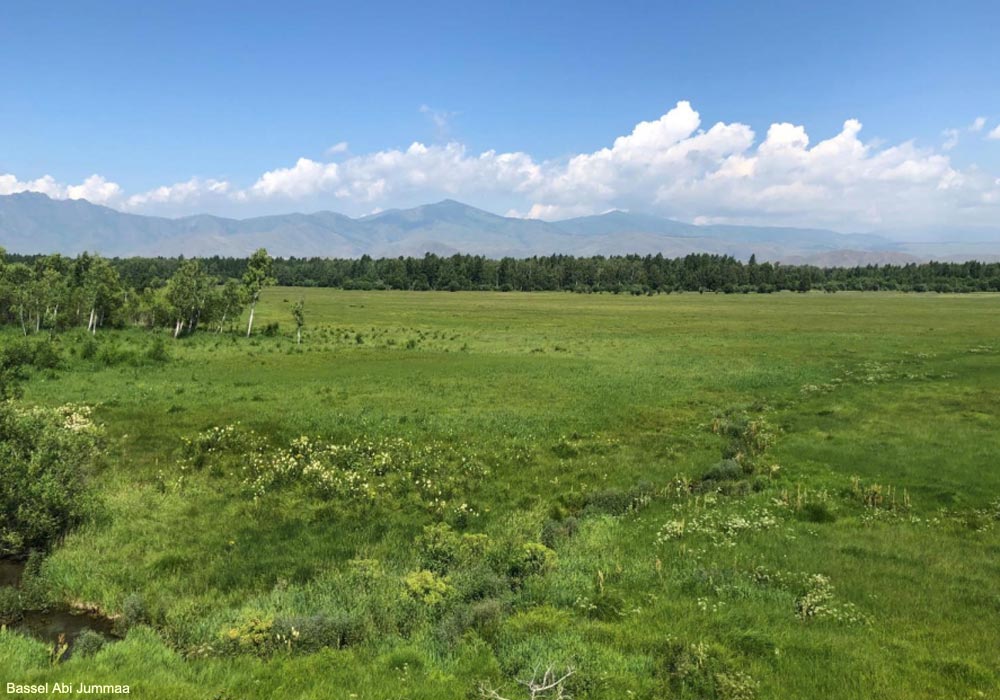 Séjour ornithologique estival dans les steppes et la taïga du ...