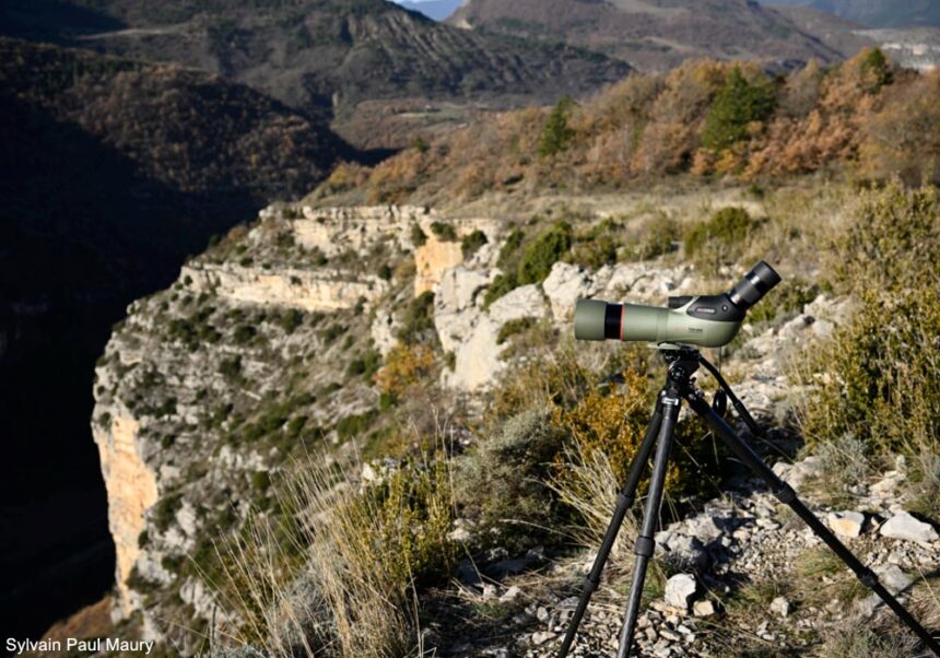 Le test sur le terrain de la longue-vue Kowa TSN-66A Prominar et de ...