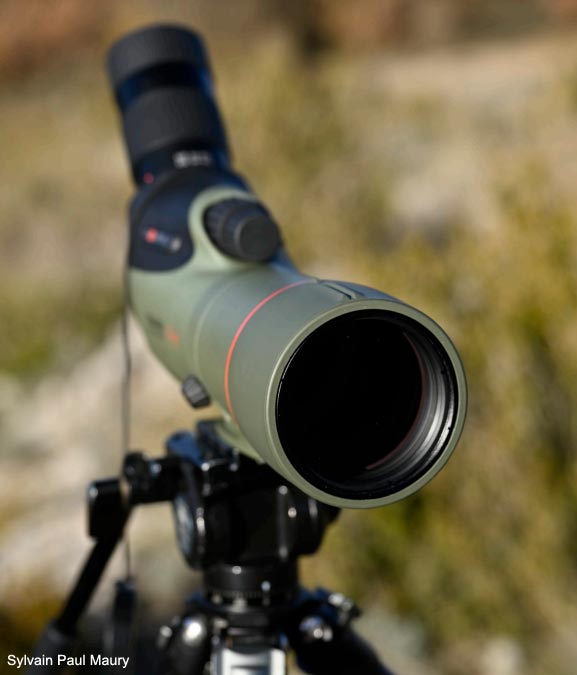 Le test sur le terrain de la longue-vue Kowa TSN-66A Prominar et de ...