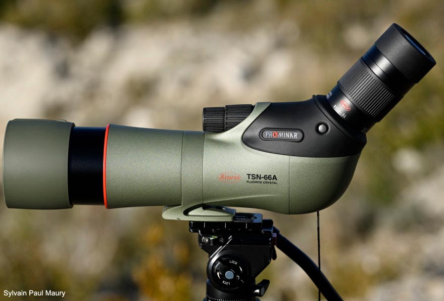 Le test sur le terrain de la longue-vue Kowa TSN-66A Prominar et de ...