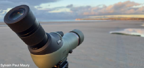 Le test sur le terrain de la longue-vue Kowa TSN-66A Prominar et de ...