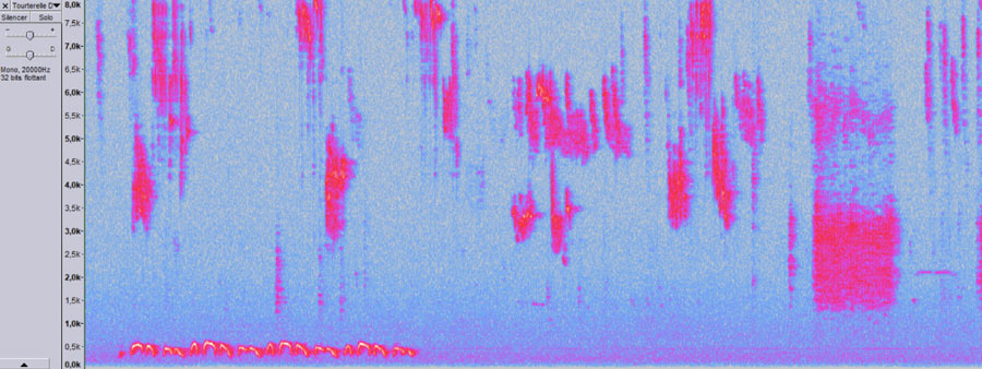 L’Audiolog, un enregistreur innovant : Julie Ezagouri-Larra et Manon ...