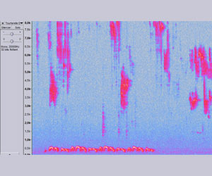 L’Audiolog, un enregistreur innovant : Julie Ezagouri-Larra et Manon ...