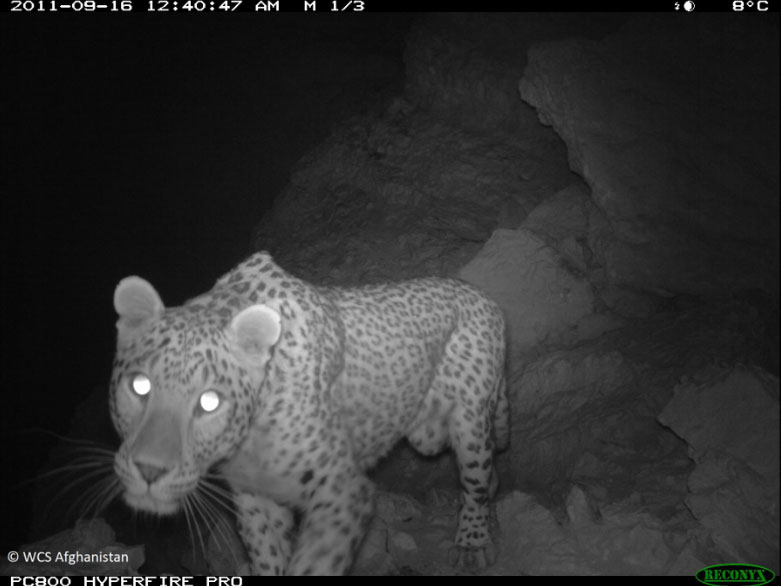 Des photos de la nouvelle zone protégée du plateau de Bamiyan, le ...