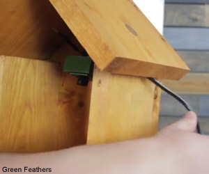 Conseils pour installer une caméra dans un nichoir | Ornithomedia.com