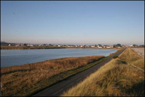 Observer les oiseaux de l'étang du Curnic, près de Guissény (Finistère ...