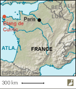 Observer les oiseaux de l'étang du Curnic, près de Guissény (Finistère ...