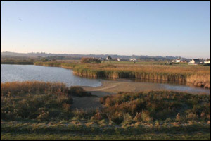 Observer les oiseaux de l'étang du Curnic, près de Guissény (Finistère ...